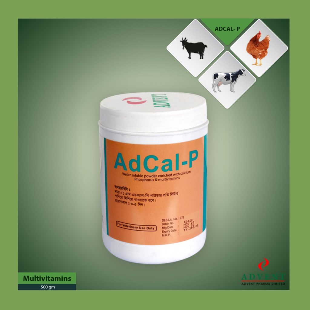 Cattle – Welcome to Advent Pharma Limited