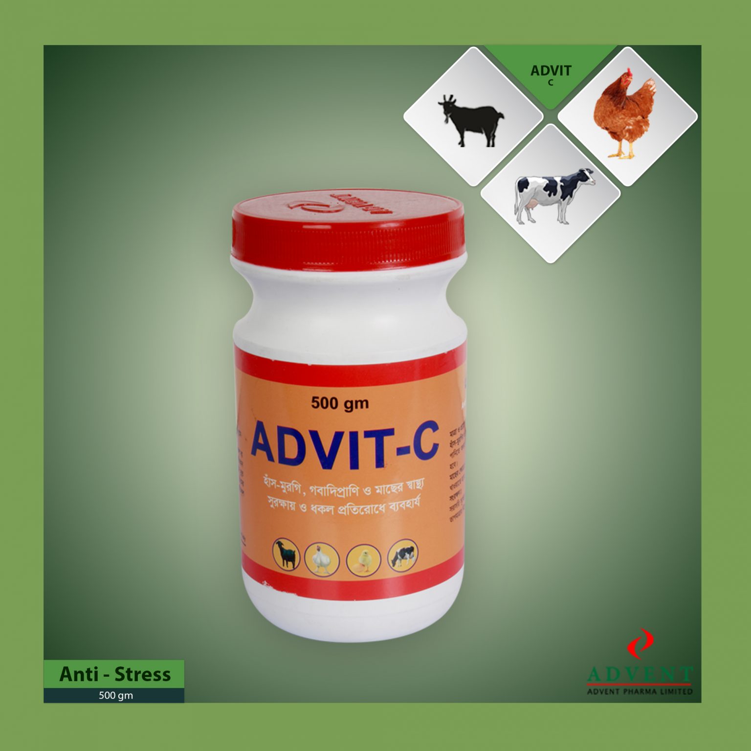 Photo Gallery – Welcome to Advent Pharma Limited