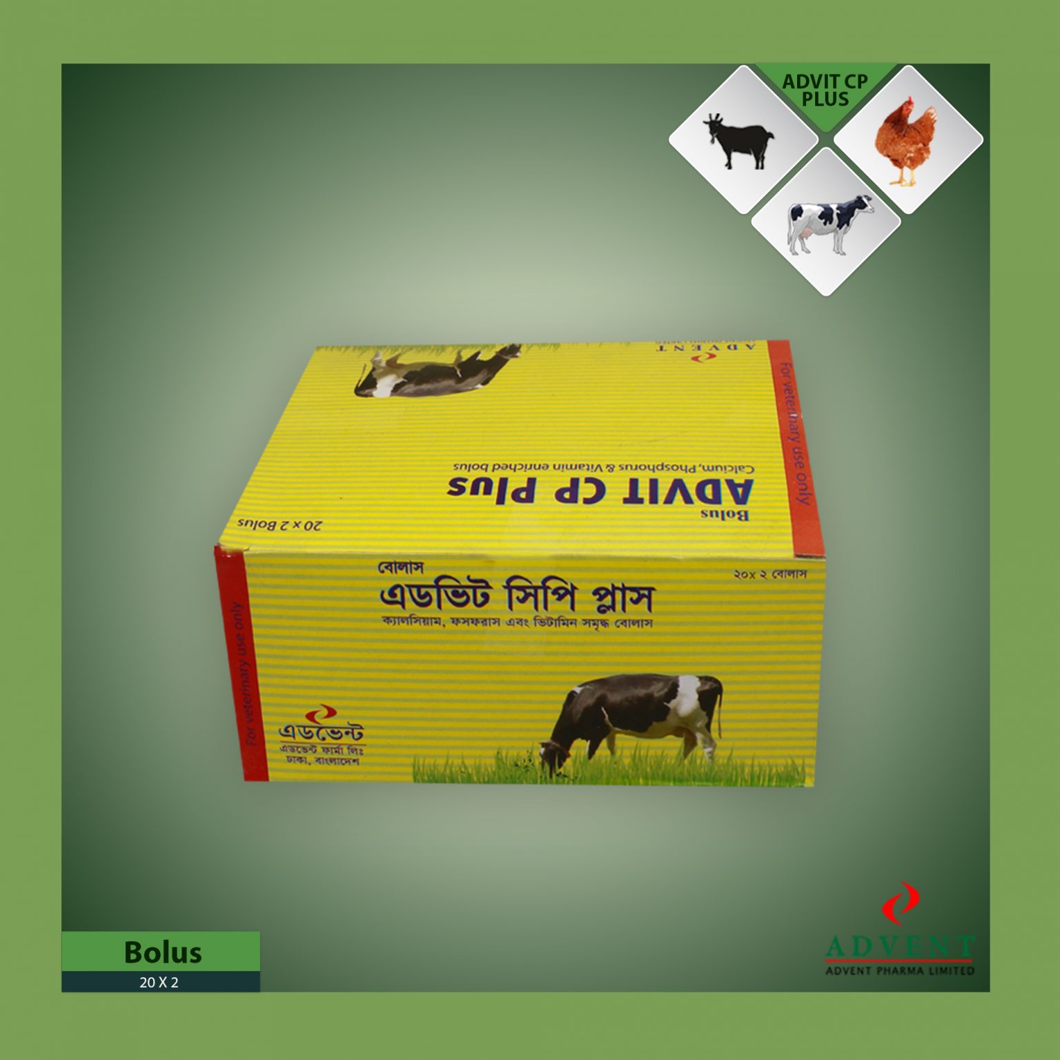 Photo Gallery – Welcome to Advent Pharma Limited