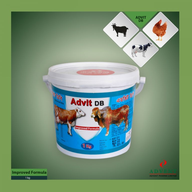 ADVIT DB Powder – Welcome to Advent Pharma Limited