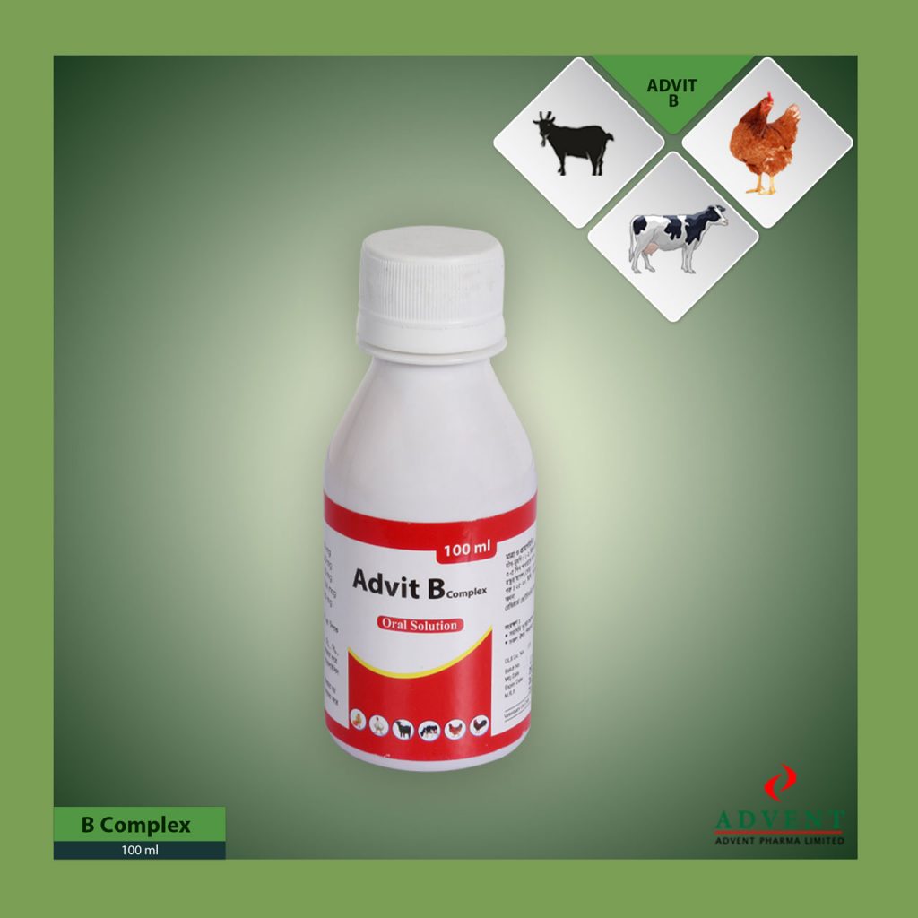 ADVIT B COMPLEX – Welcome to Advent Pharma Limited
